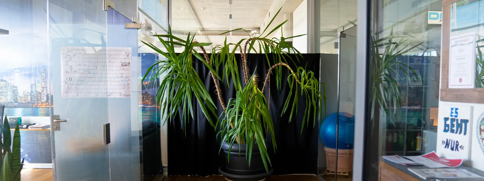 Über die DAERO GmbH